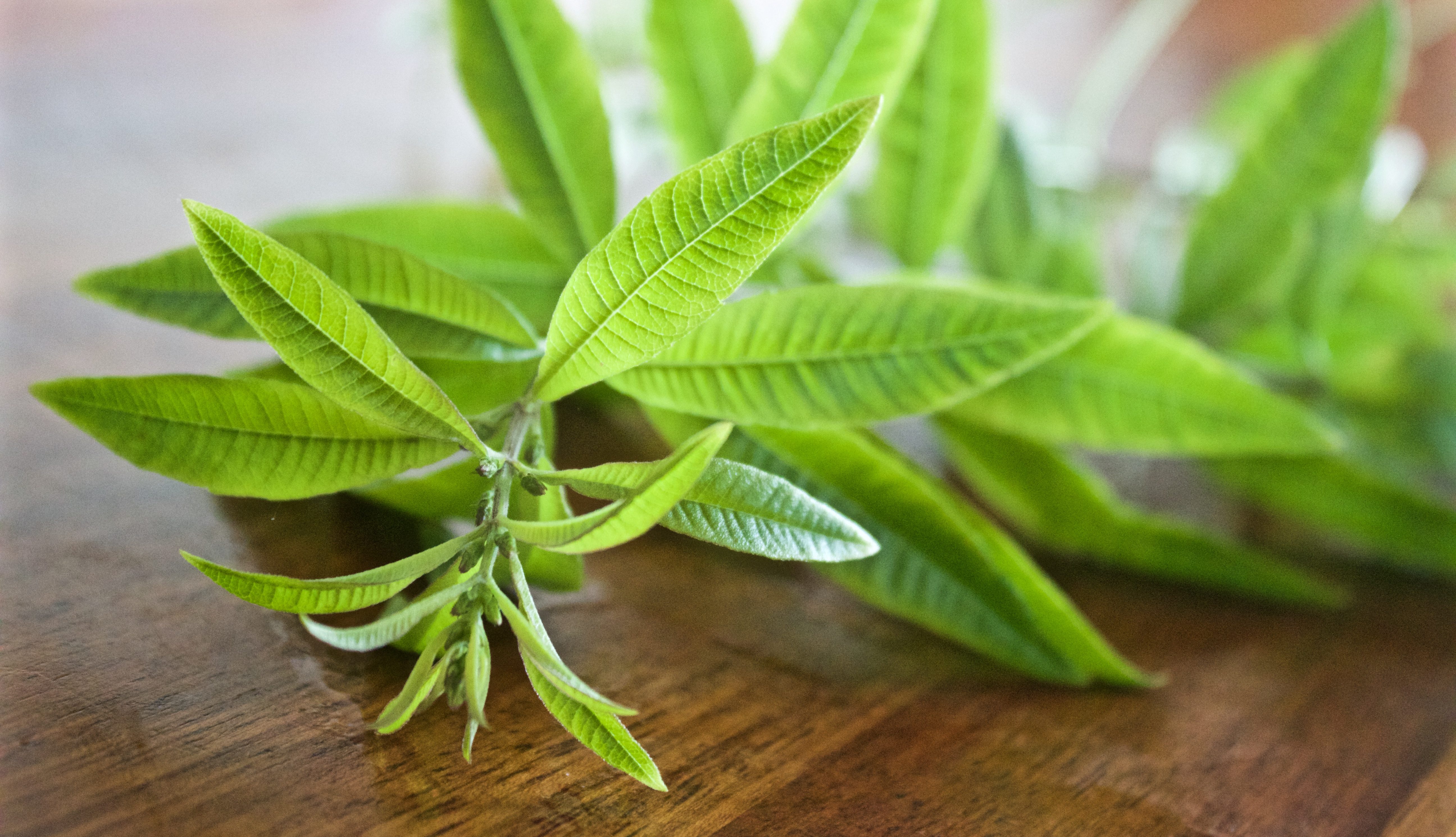 Lemon Verbena, Peach & Lime Gin Cocktail | Wuthering Bites